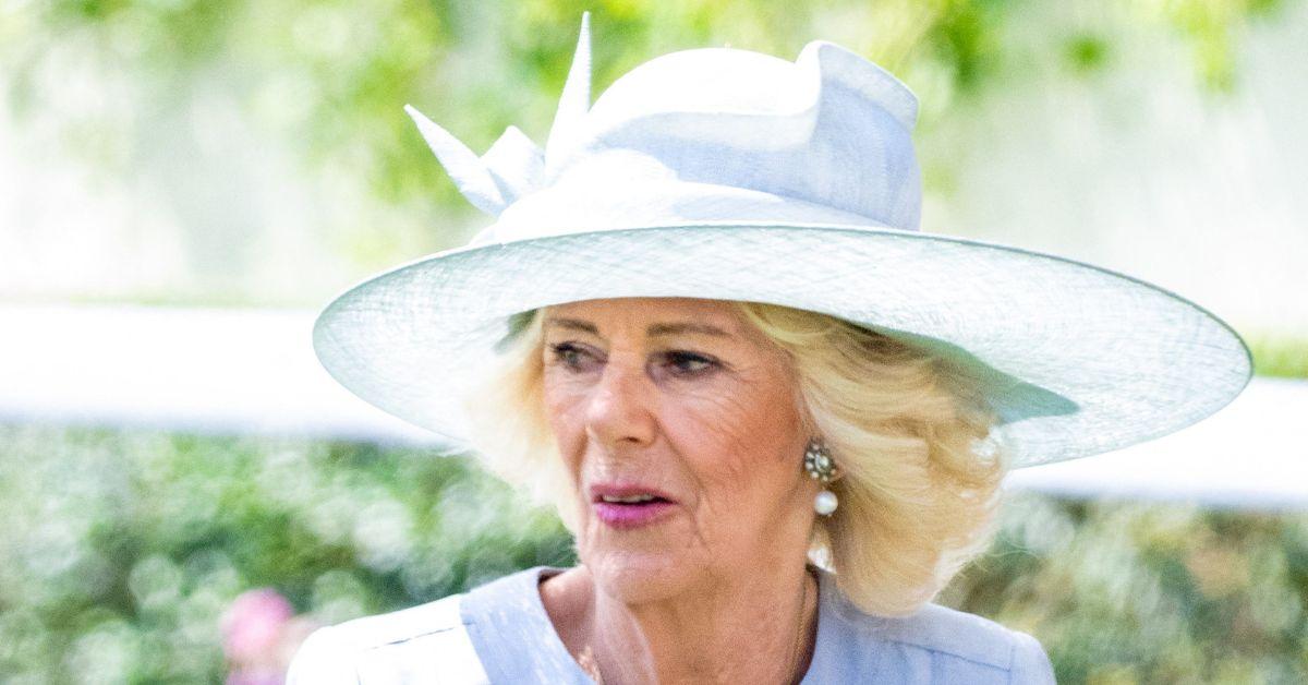 Prince William Battling To Stop Queen Camilla's Drinking