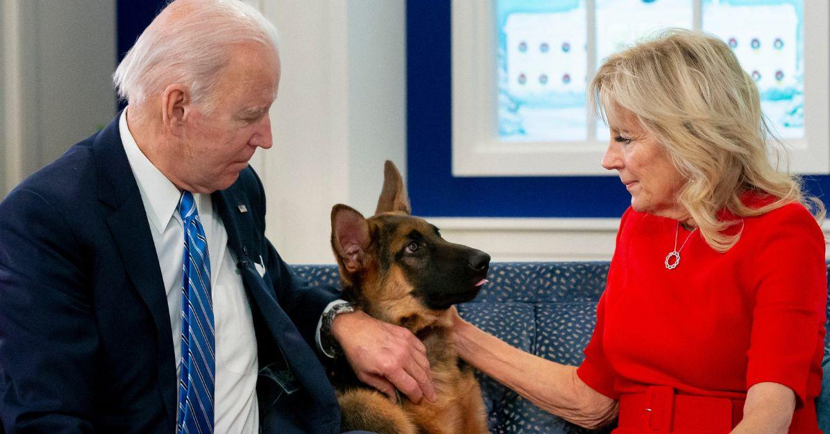 Joe Biden's Dog Commander Removed From White House