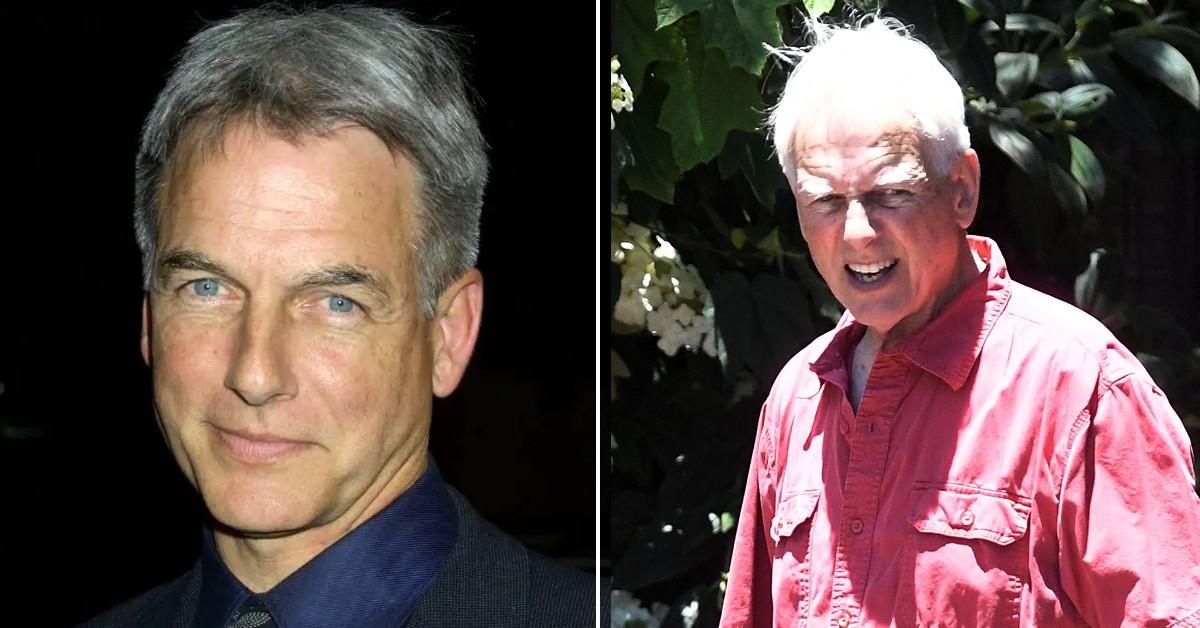 Unrecognizable: Mark Harmon, 72, Sheds Clean-Cut as 'Freaky Friday 2 ...