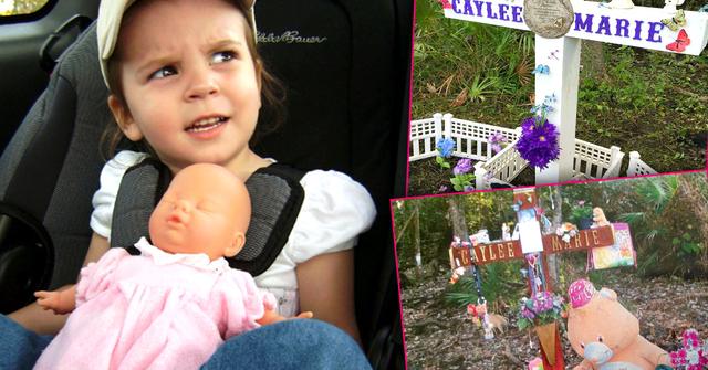 Owner Of Land Where Caylee Anthony’s Body Was Found Reveals Shock In ...