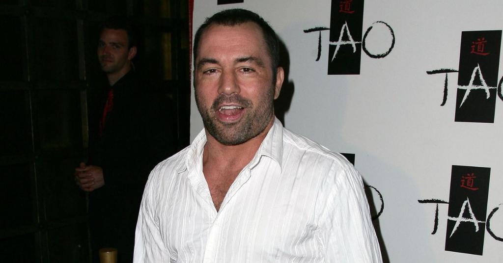 Joe Rogan's Estranged Father Denies Violence Allegations Made By Son