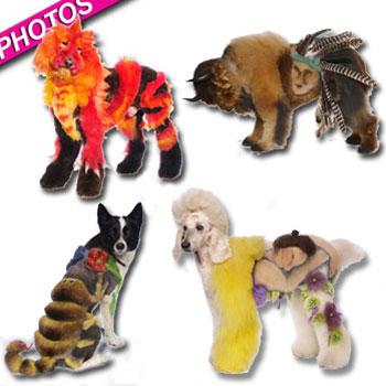Get Your Clippers At The Ready! Colorful Canines That Are Dyeing To Be ...
