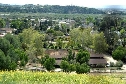 ‘Slap In The Face!’ Patrick Swayze’s Widow Lisa Niemi Sells His Beloved ...