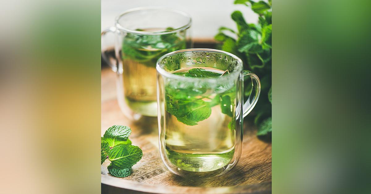 Tribe Takes On A TikTok Trend — CBD Romaine Lettuce Tea