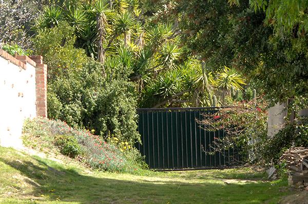 ‘Slap In The Face!’ Patrick Swayze’s Widow Lisa Niemi Sells His Beloved ...