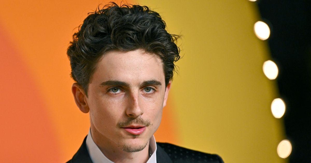 Timothée Chalamet's Mysterious Journey Mirrors Bob Dylan's Rise