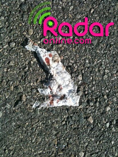 PHOTOS: Ronni Chasen Murder Scene