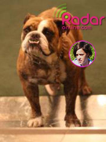 EXCLUSIVE PHOTOS & COURT DOCUMENTS: Million Dollar Lawsuit Filed ...