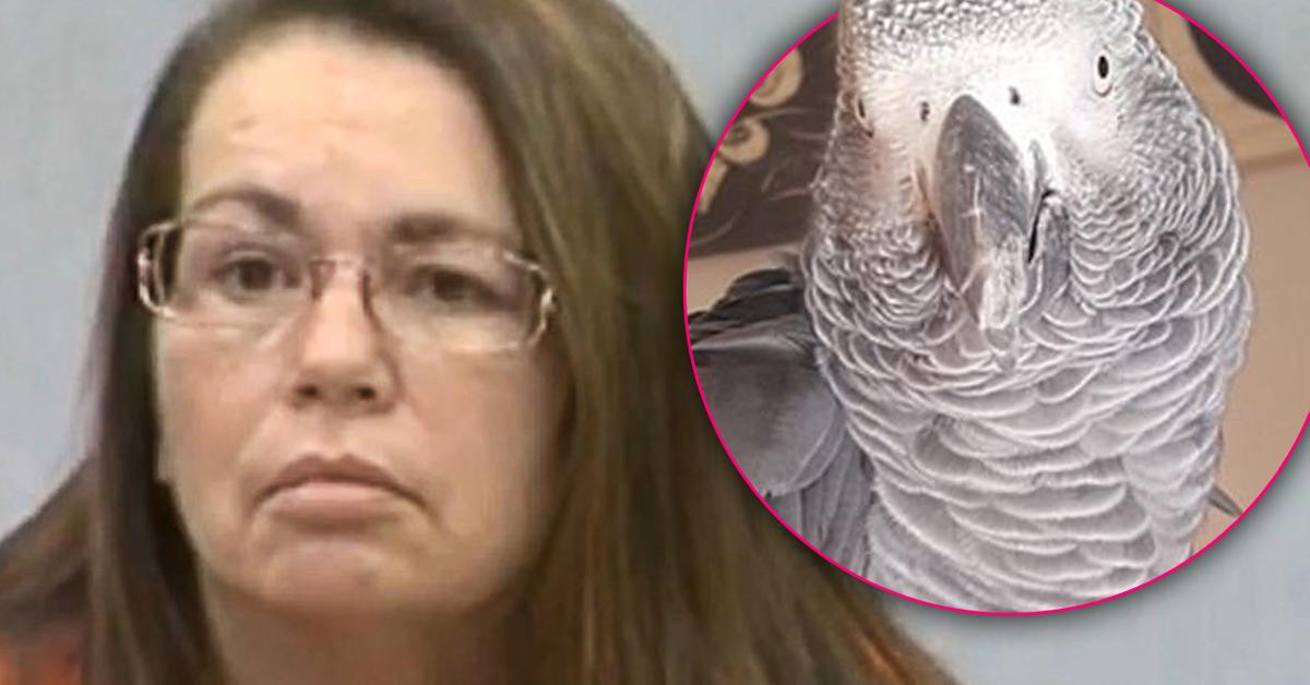 Woman Gets Life In Prison After Parrot Reveals Husband's Murder