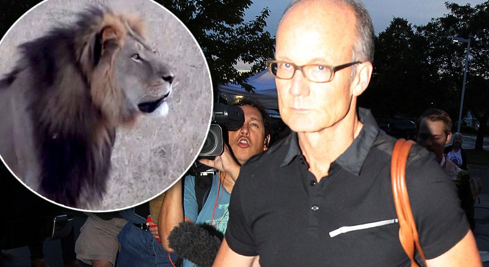 Back On The Scene: Lion Killer Walter Palmer Returns To Work At Dental ...