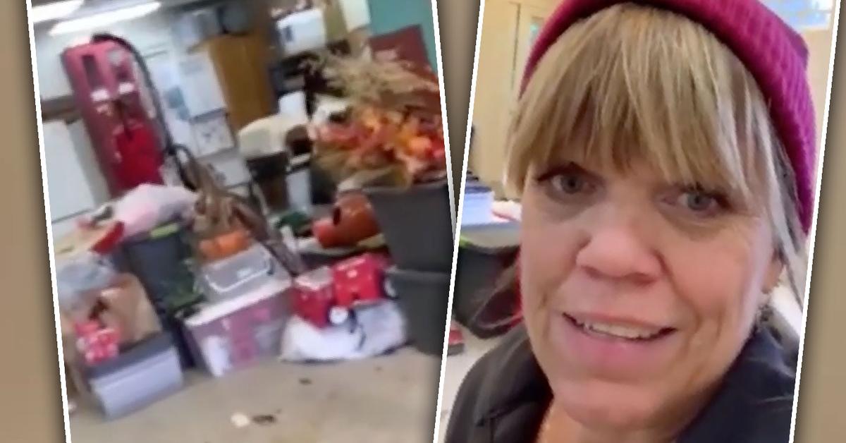 Amy Roloff Reveals Purge Diet And Exercise For New Year