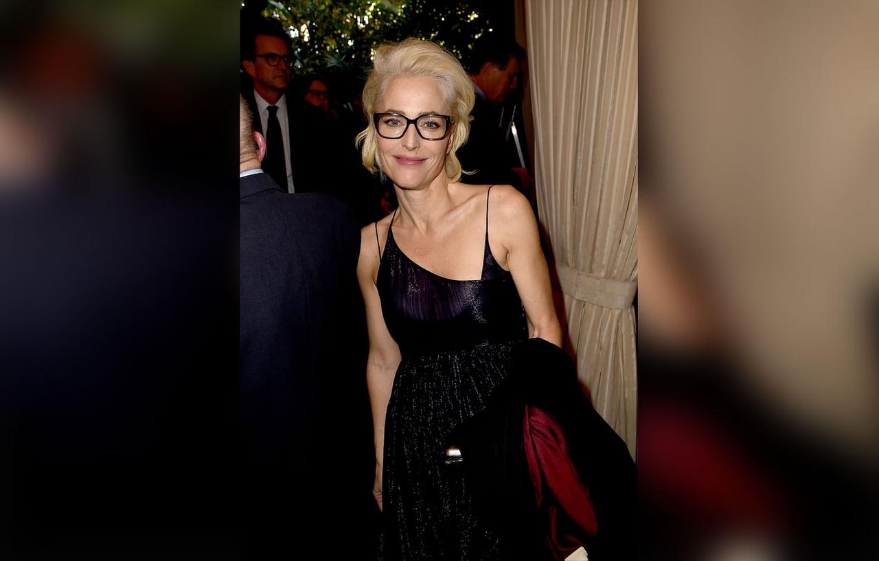 X Files Mystery Gillian Anderson Scary Skinny