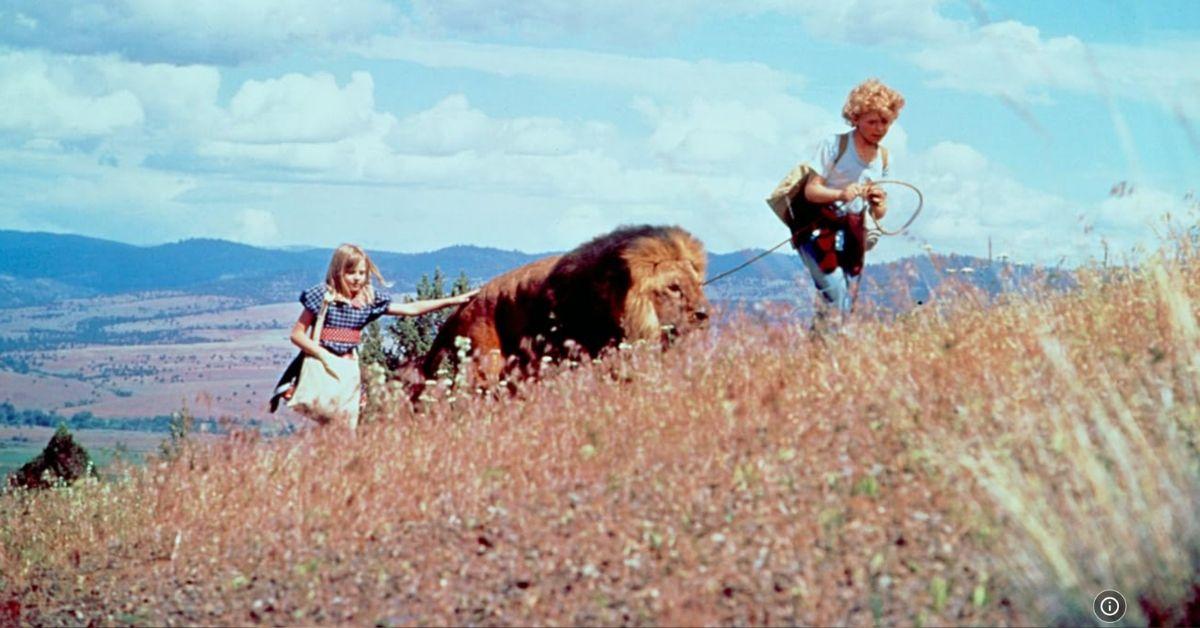 Jodie Foster Was Left With Puncture Wounds After Being Mauled By Lion