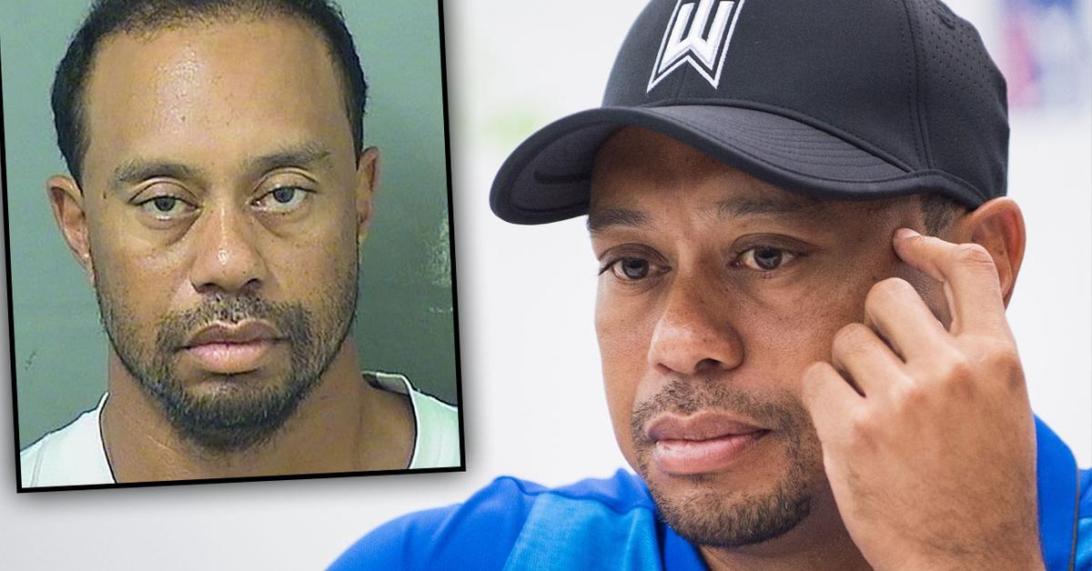 Tiger Woods DUI Arrest -- Golfer Found Asleep At The Wheel