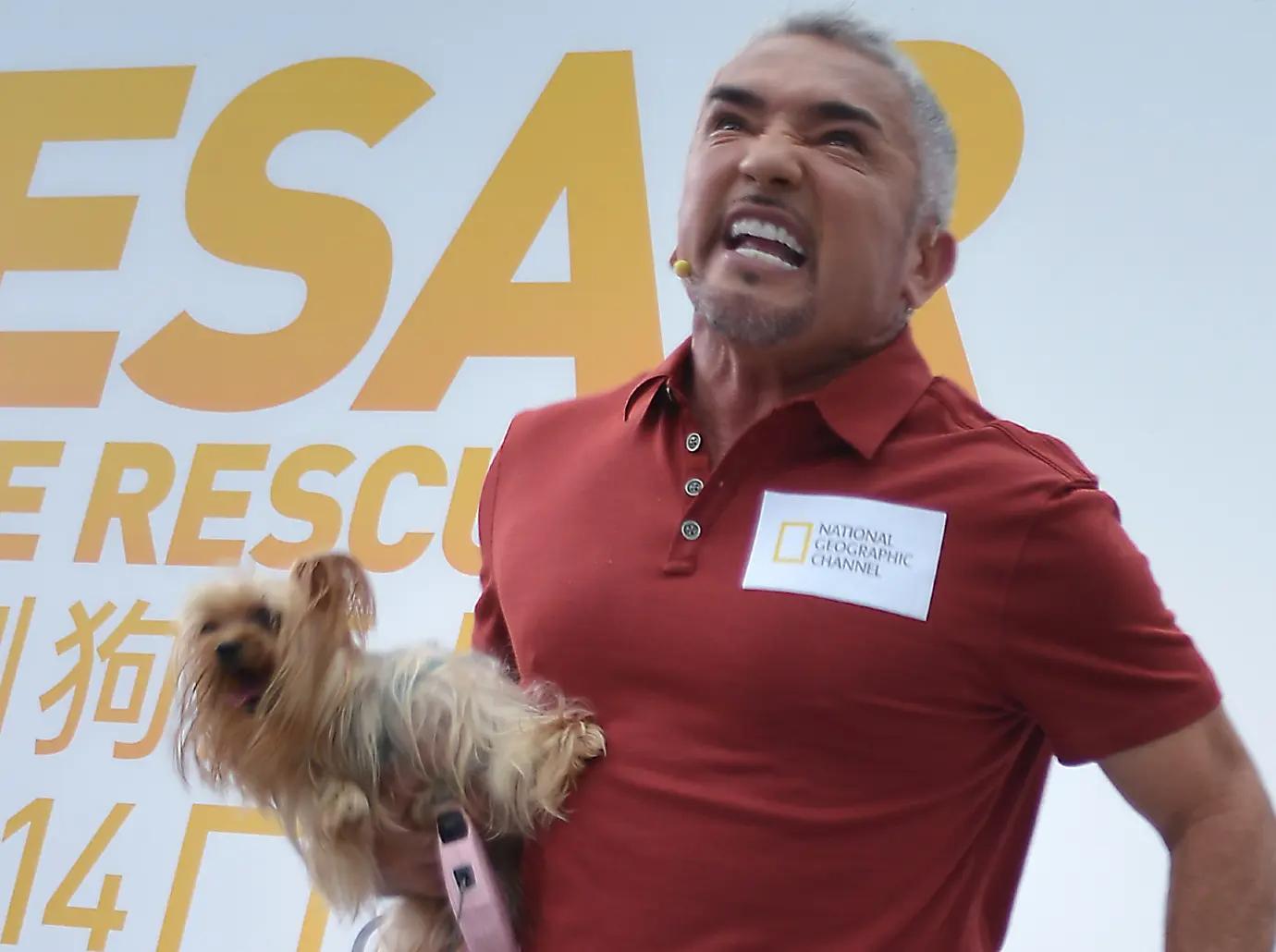 Cesar Millan Accuses Woman Suing Him Over Alleged Vicious Pit Bull ...