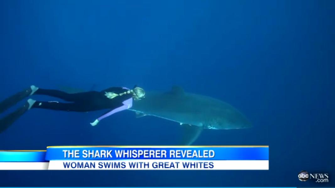 Young Hawaiian Woman Swims With Great White Sharks