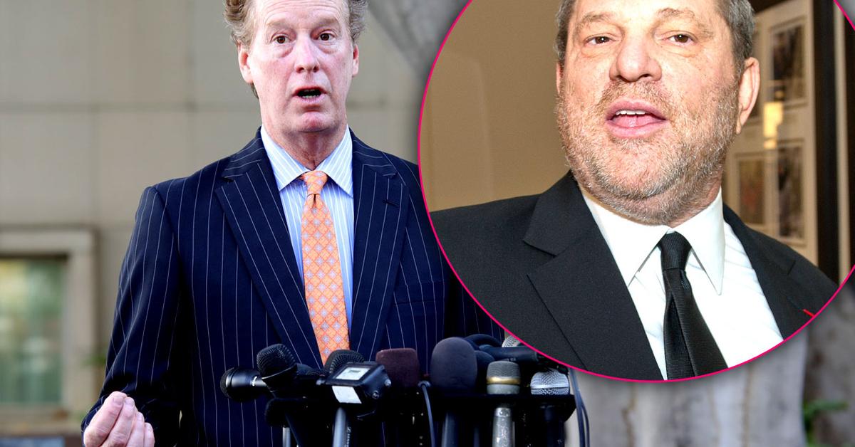 Harvey Weinstein Italian Actress Rape Accuser Press Conference