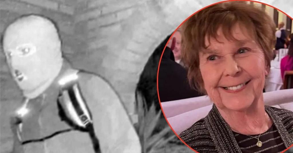 Nancy Guthrie's Kidnapper Was an Amateur, Private Investigator Claims