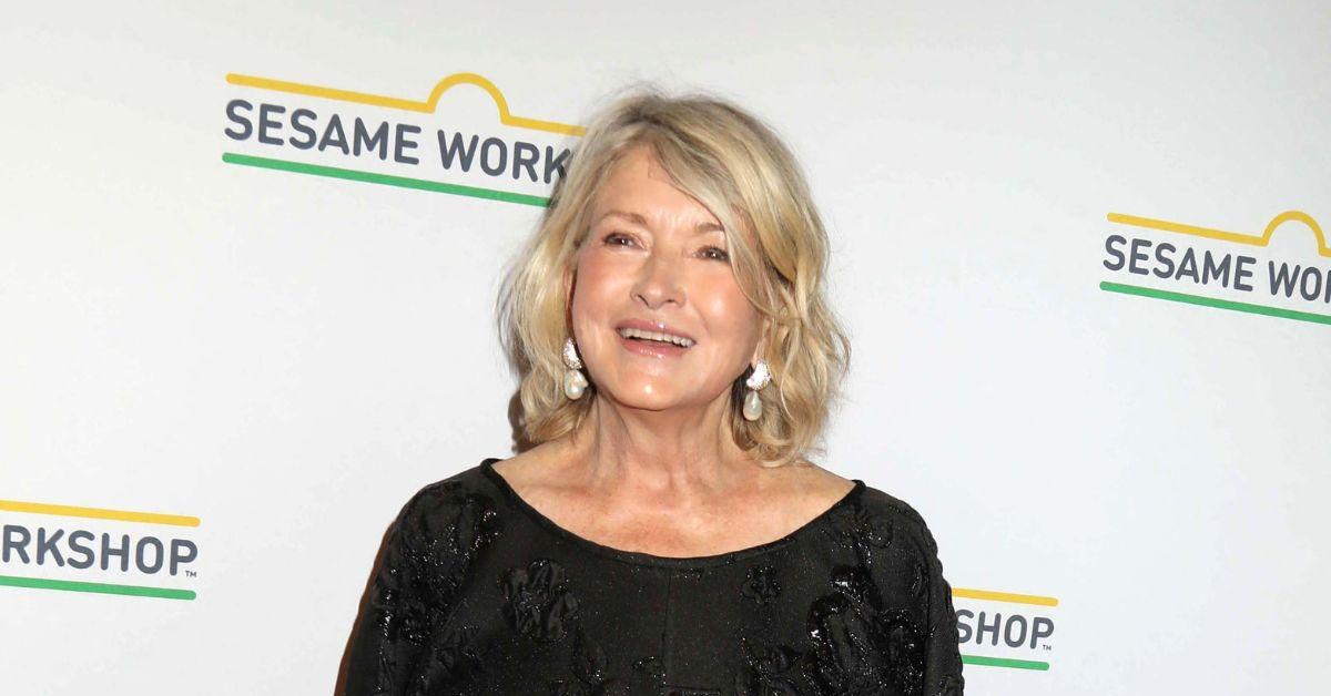 Brutal Barbra Streisand Vs Martha Stewart Catfight 'Exploding'