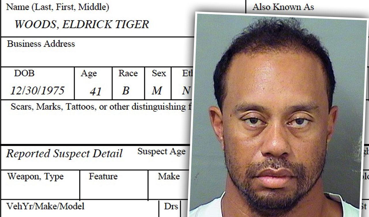 Tiger Woods DUI Arrest- Car Had ‘Fresh Damage’ As Golfer Struggled To Stand
