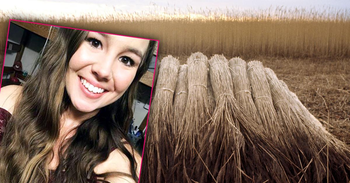 Missing Jogger Mollie Tibbetts Brother Reveals Family Has Exhausted Search