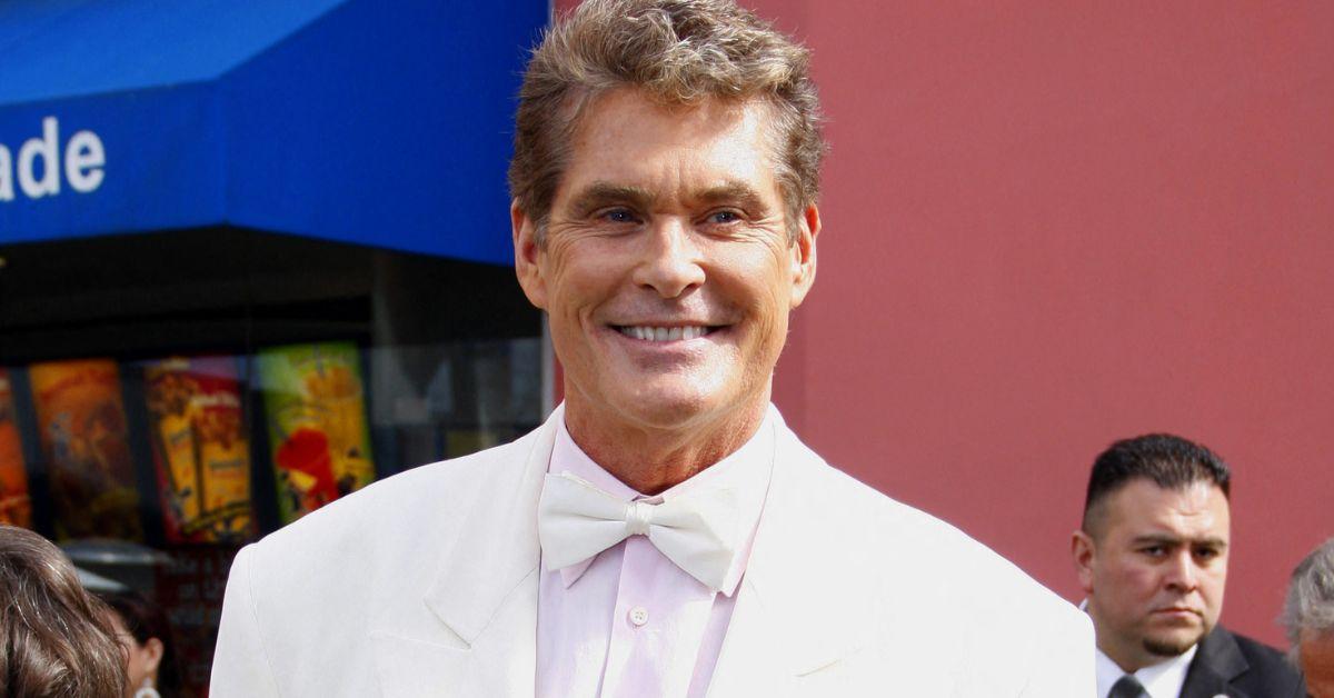 'Baywatch' Star David Hasselhoff Is 'Suffering and Using a Wheelchair'
