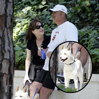 EXCLUSIVE: Dr. Phil's Dog That's Focus Of Lawsuit Likely Killed Family ...
