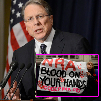 NRA Breaks Silence Post Sandy Hook: 'The Only Way To Stop A Bad Guy ...