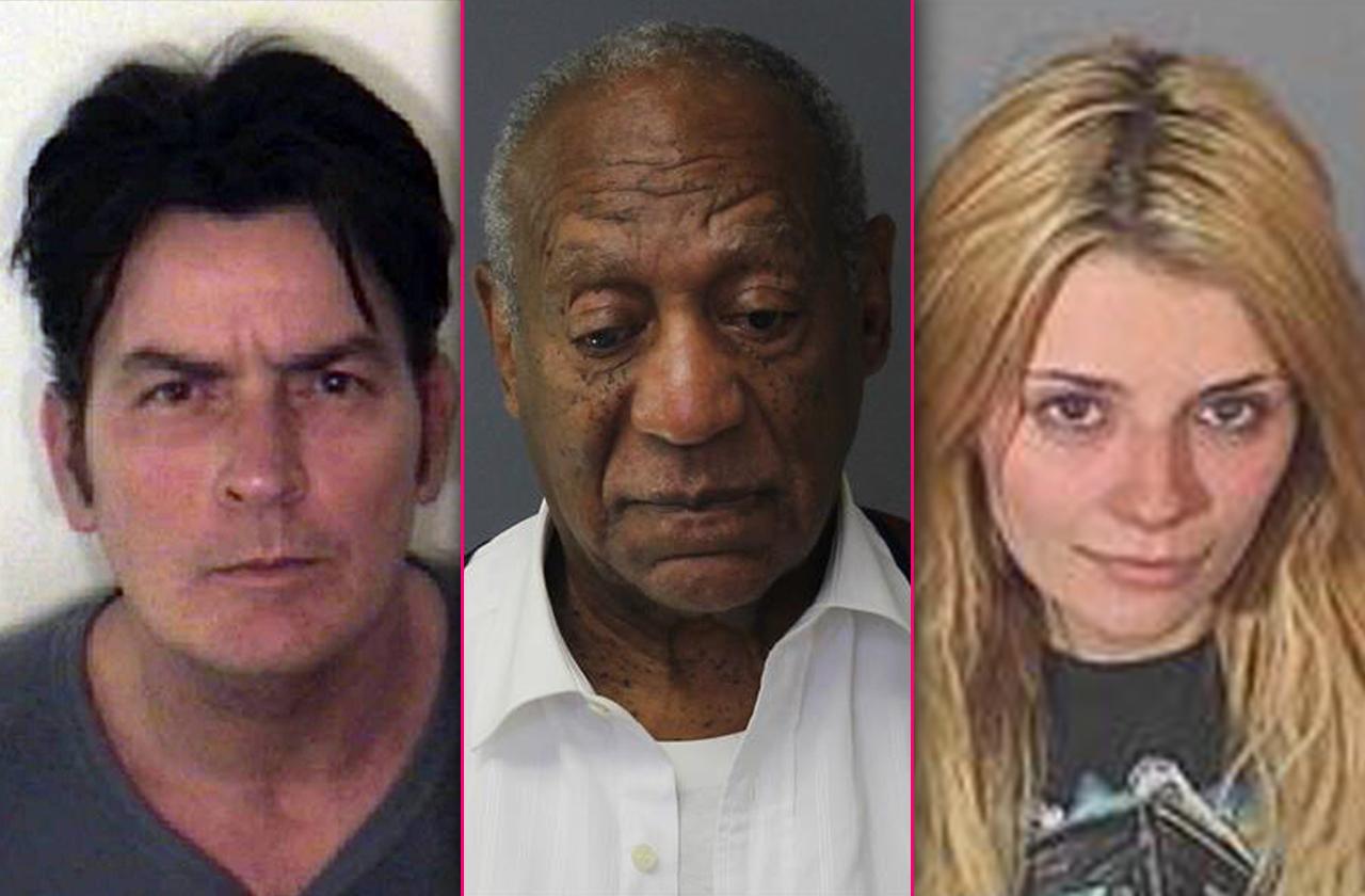 Celebrities Arrested At Christmas Photos – From Charlie Sheen To LuAnn ...