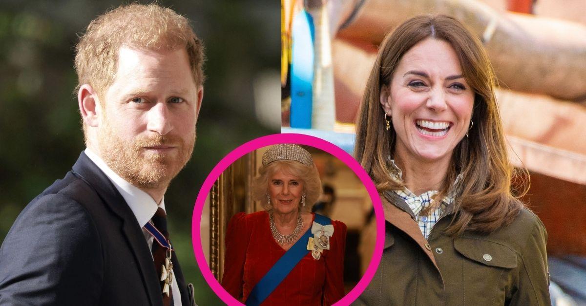 Prince William Battling To Stop Queen Camilla's Drinking