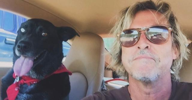 Train Founding Member Charlie Colin Dead at 58
