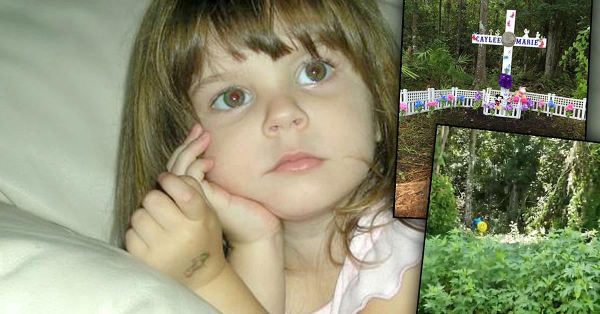 Exclusive Video: Caylee Anthony’s Abandoned Gravesite Appears Desolate ...