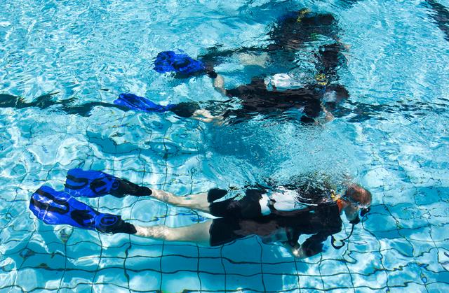 Scuba Diving Royalty! Prince William (Wet) Suits Up To Become President ...