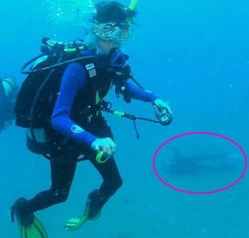 Accused Honeymoon Killer ‘Hung Out And Asked For Hugs’ On Boat While ...