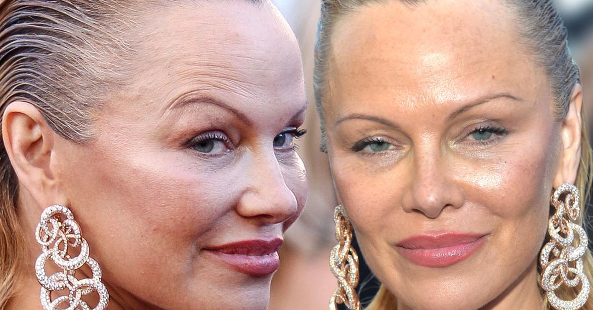 [pics] Pamela Anderson Looks Unrecognizable At 2017 Cannes Festival