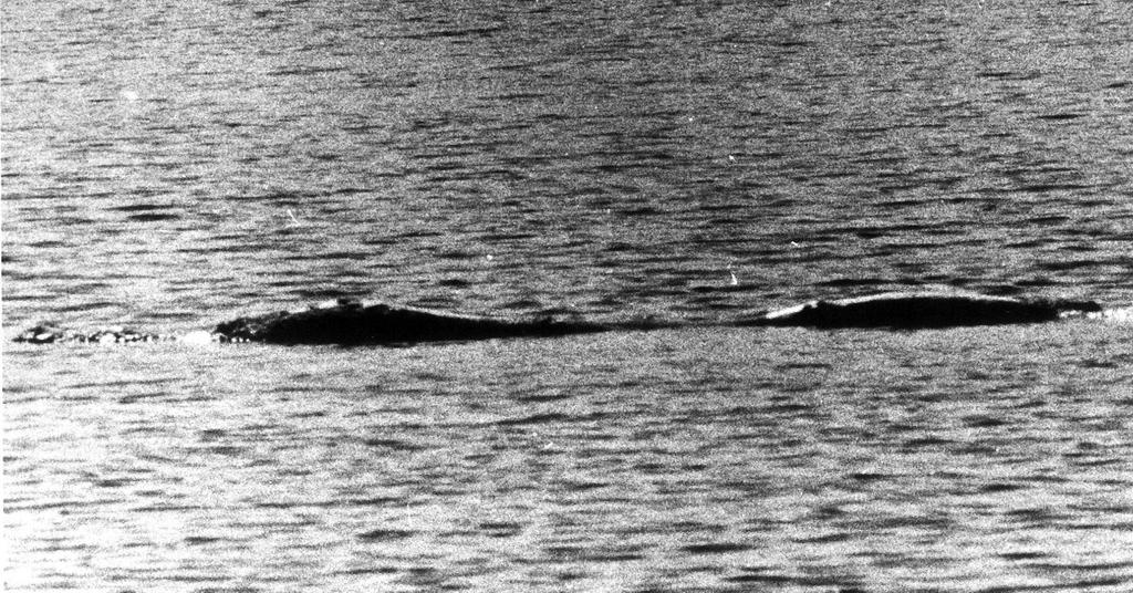 Loch Ness Monster: 71 Shocking New Photos Released That 'Defy Explanation'