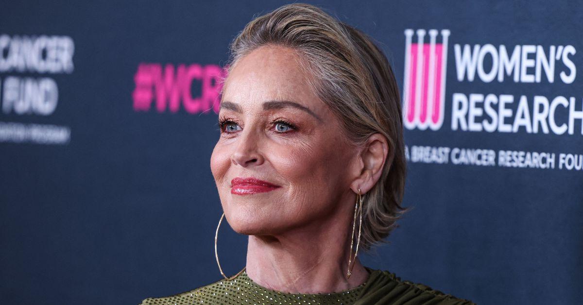 Sharon Stone Opens Up About Mental Health in Emotional Interview