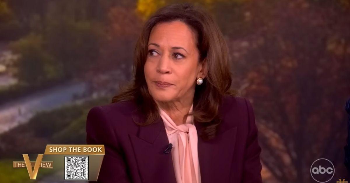 Kamala Harris Recalls 'Grieving' After Election Loss to Donald Trump