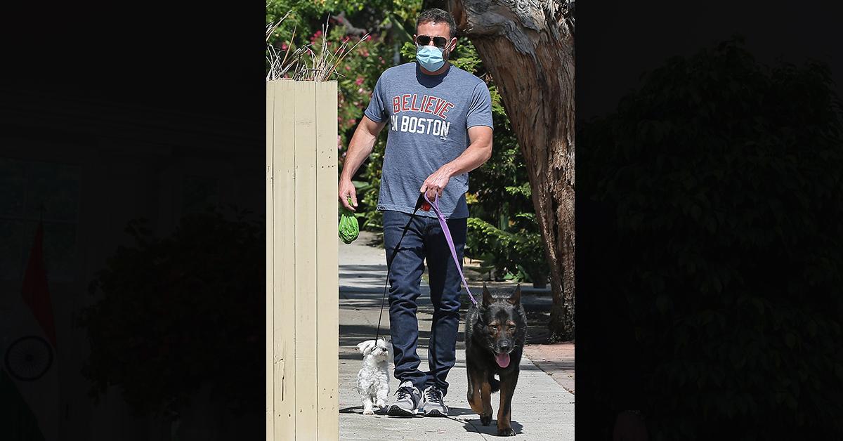 'Lazy' Ben Affleck in Doghouse With J Lo Over Pets' Poop: Report