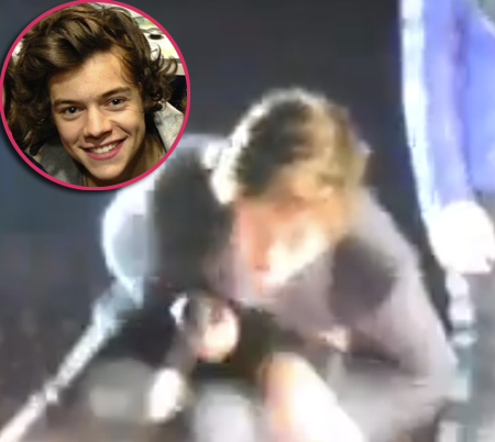 A Fan Throws A Shoe At Harry Styles And Hits His Groin! (Was It Taylor ...