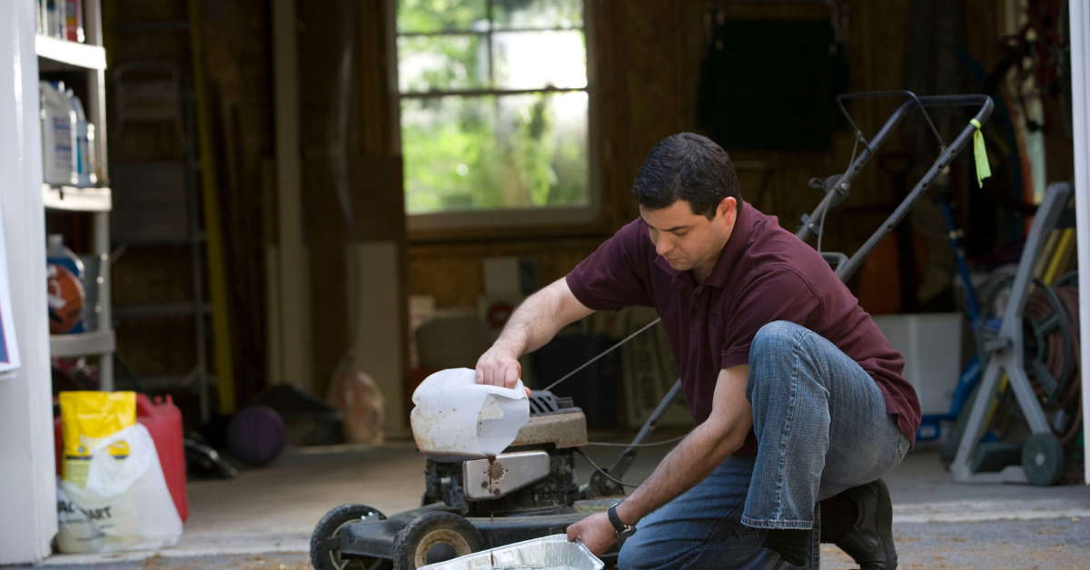 Pest and Termite Control: Proven Strategies to Protect Your Home Year-Round