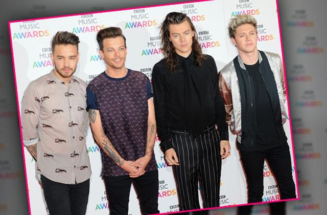 One Direction Breaking Up — Band's Hiatus Now Official Split