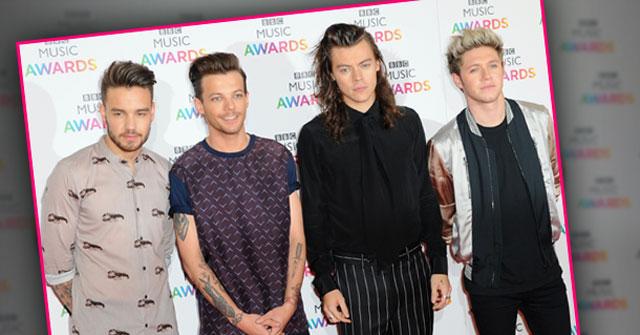 One Direction Breaking Up — Band's Hiatus Now Official Split