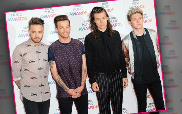One Direction Breaking Up — Band's Hiatus Now Official Split