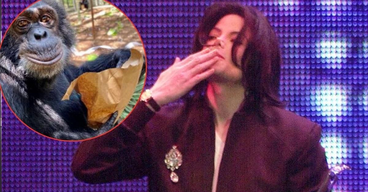 Michael Jackson's Chimp Bubbles New Life Revealed as Biopic Is Ripped