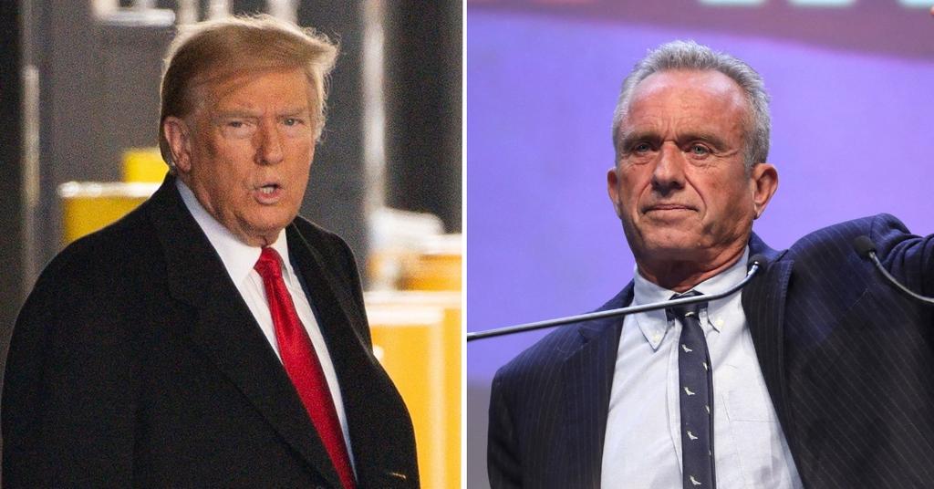 Donald Trump Slams RFK Jr. as a 'Radical Left Democrat'