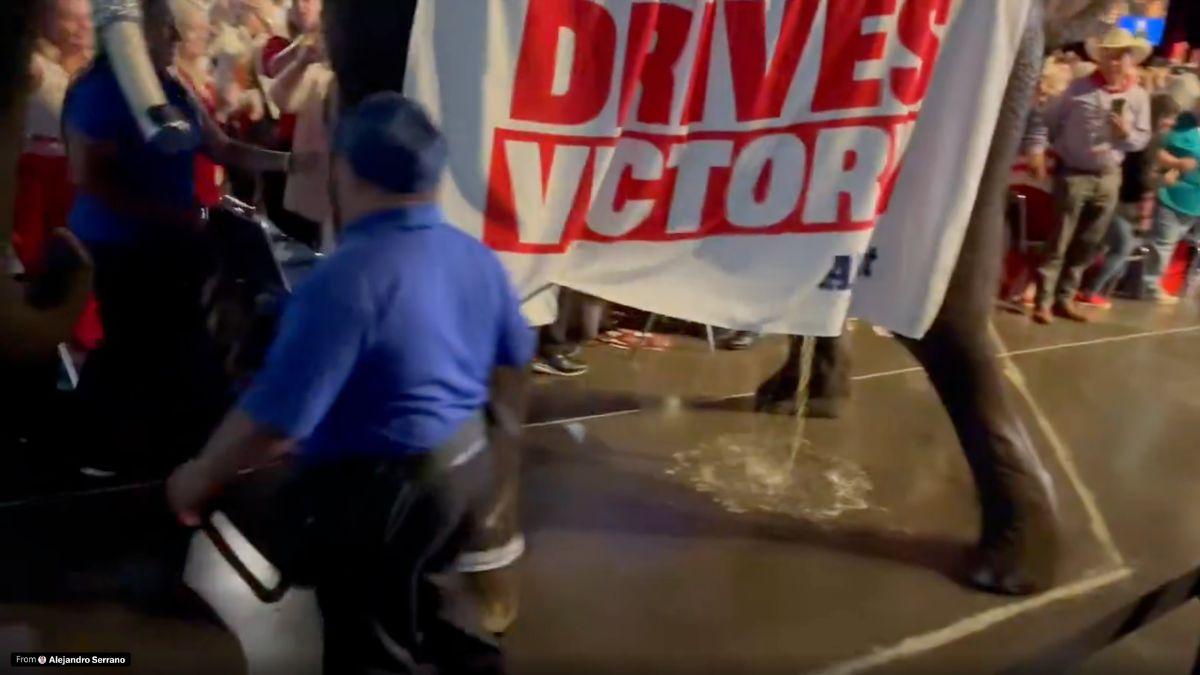 Texas GOP's 'Unity' Elephant Pees On Convention Floor