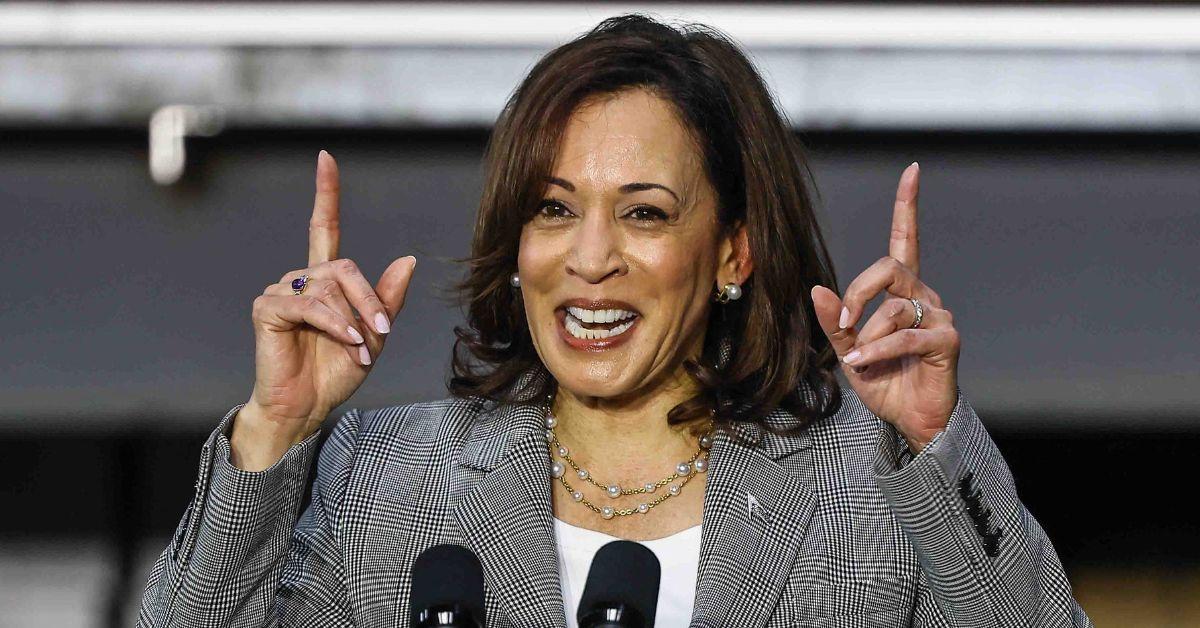 VP Kamala Harris is 'Acutely Sensitive' and 'Instantly Aware' of 'Any Criticism' Against Her ...