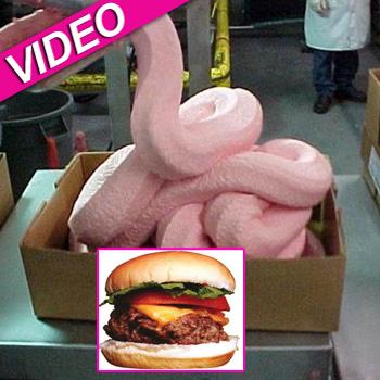 You Are What You Eat! How One Mom Won Crusade Against 'Pink Slime'