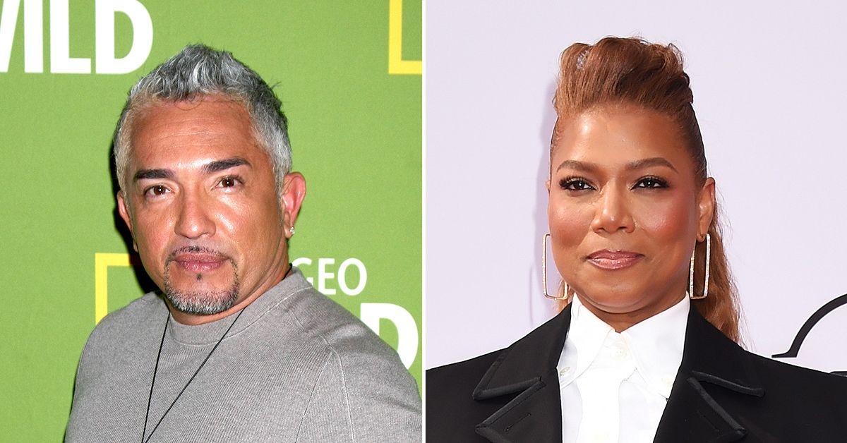 Cesar Millan Settles Lawsuit Where He Was Accused Of Covering Up Death ...